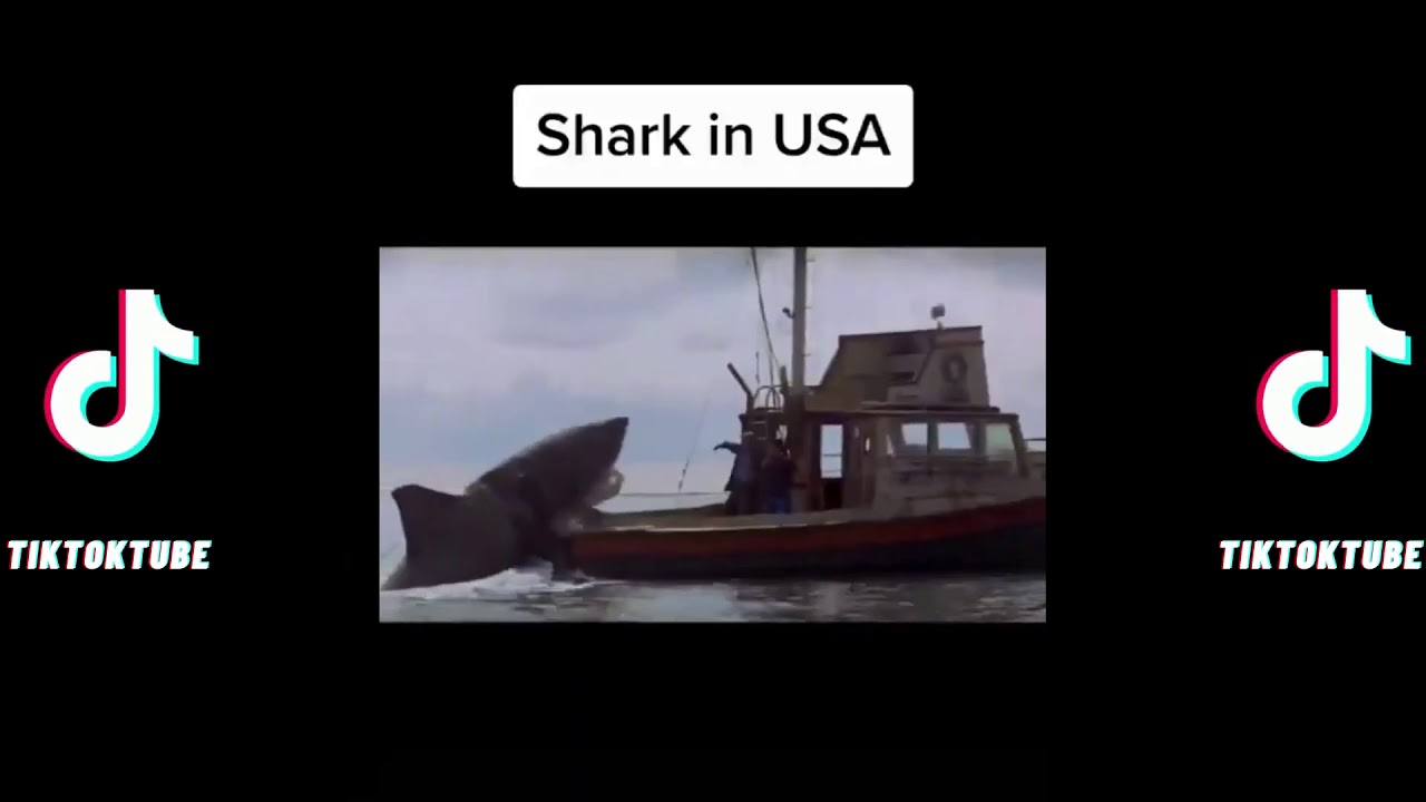 new funny viral tiktok meme part 2 patlamaya devam turkish song russian ...