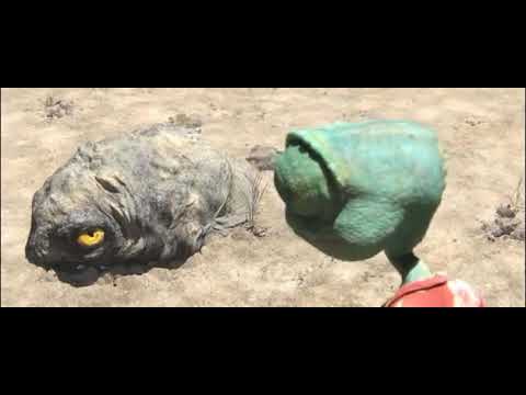 Rango_trl_mariachi_628x261.flv - YouTube