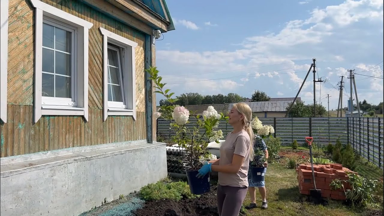 ДЕНЬ В ДЕРЕВНЕ САЖАЕМ РОЗЫ И ГОРТЕНЗИИ УСТАНОВИЛИ ВХОДНУЮ ДВЕРЬ БРАТ