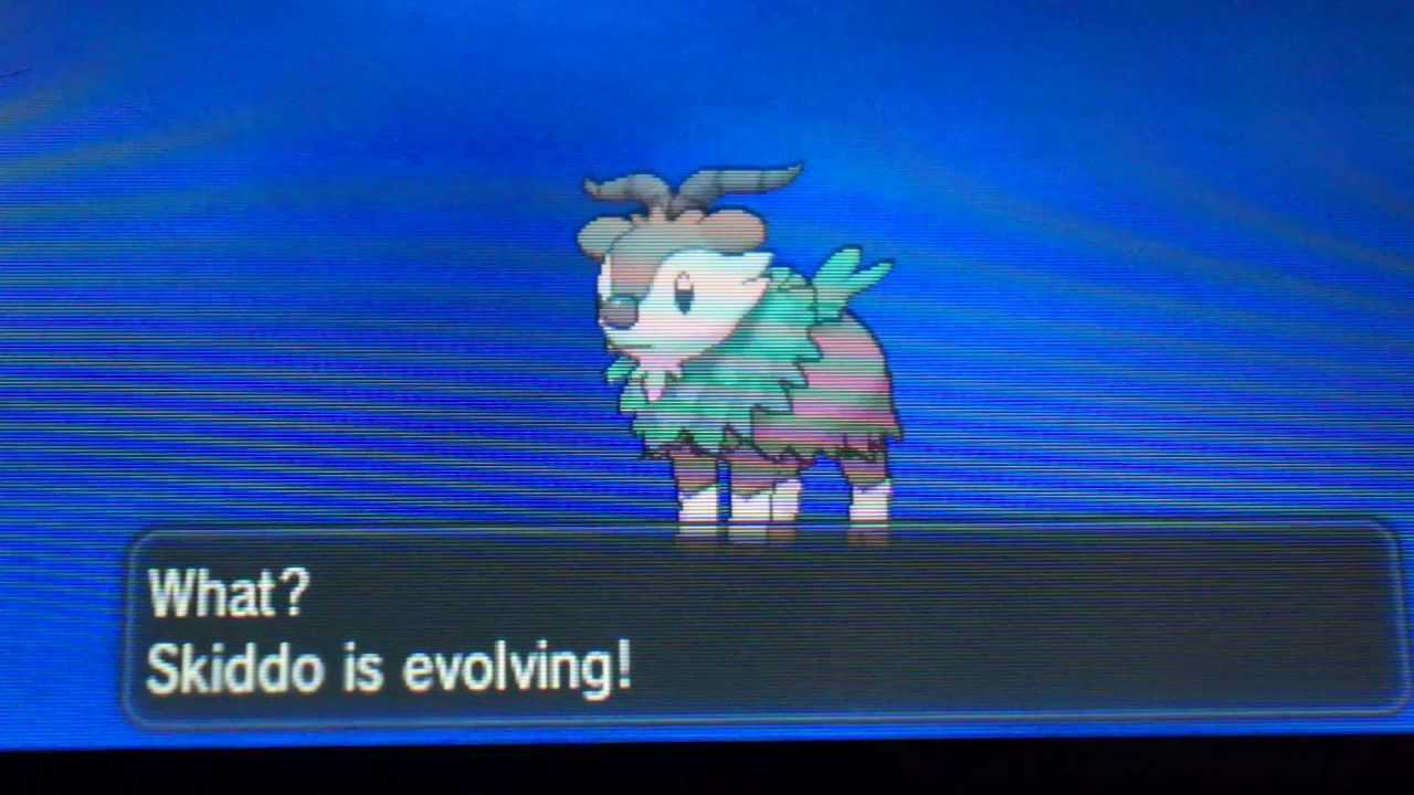 Skiddo Evolution Chart