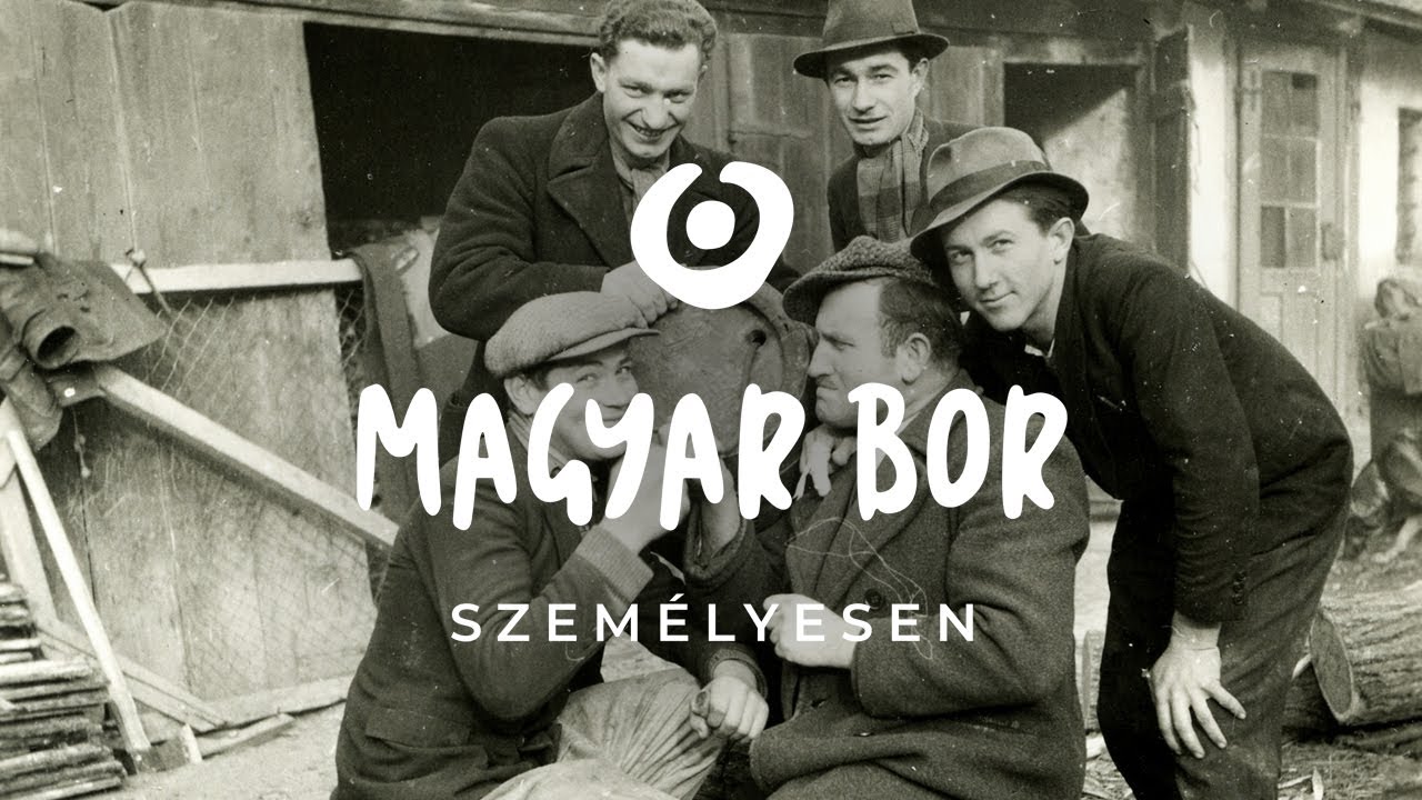 Magyar Bor Személyesen - A magyar bor archív filmje - YouTube