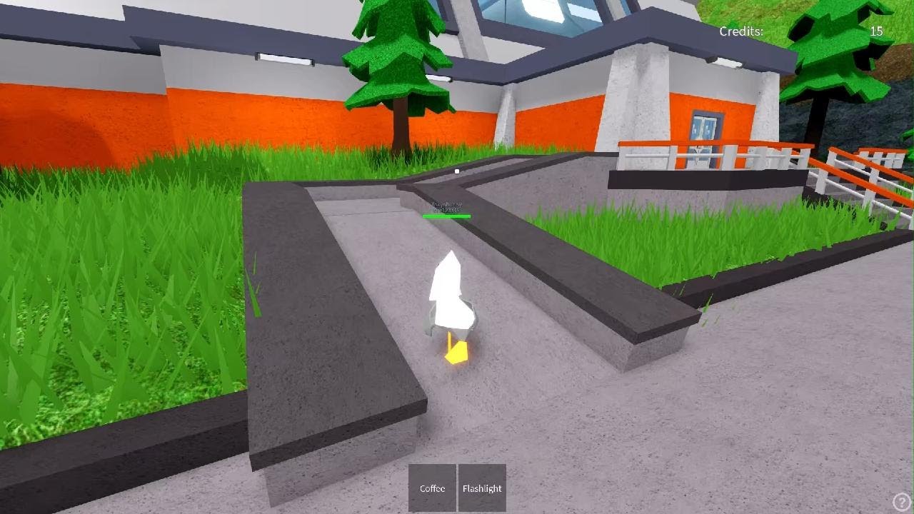 Crazy seagull at work - YouTube