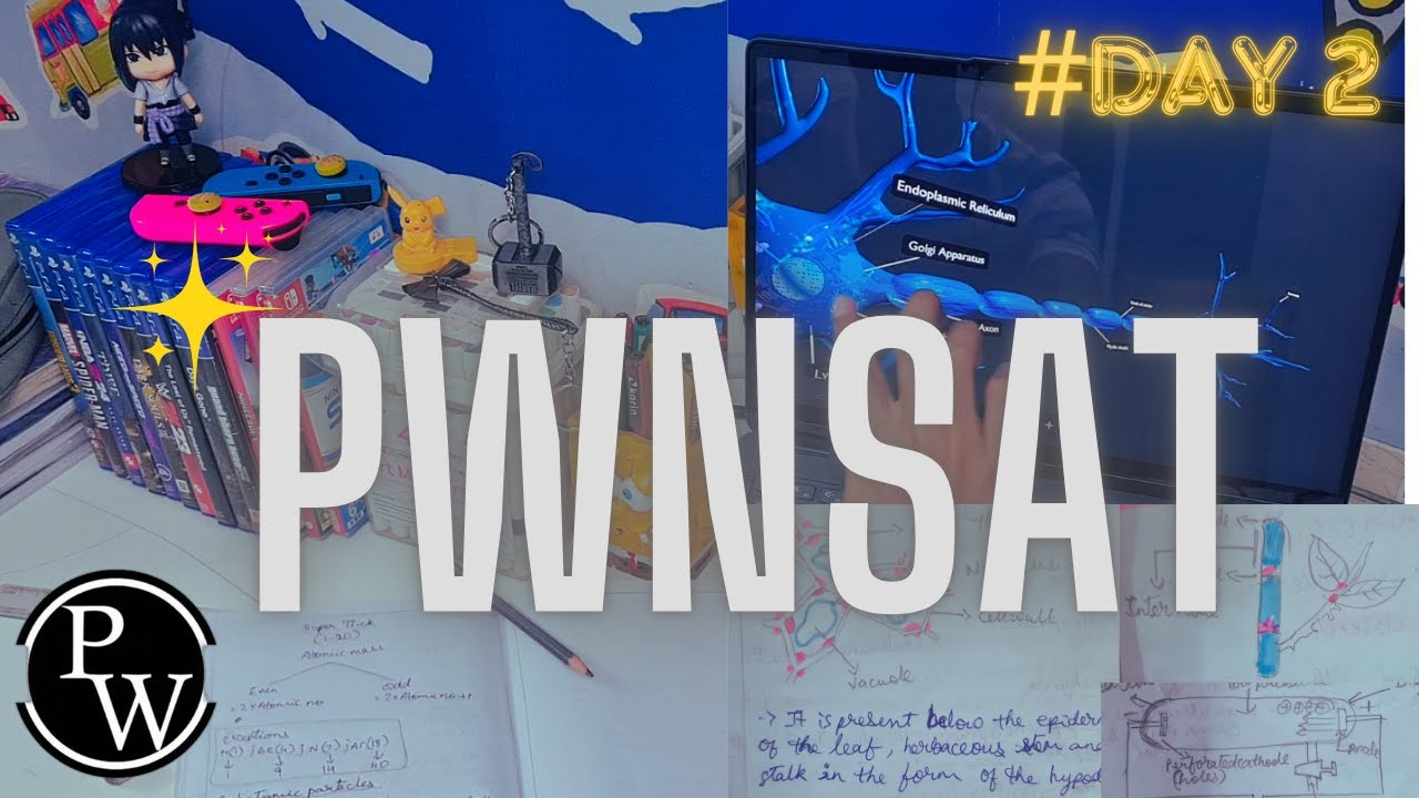 PREPARING FOR PWNSAT 🤯DAY 2 |CLASS 9 |PW - YouTube