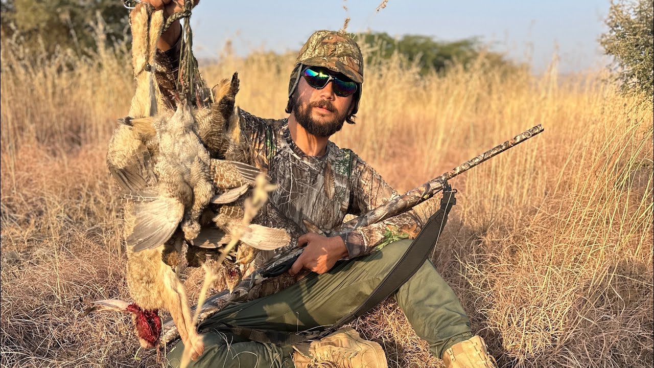 Field Hunt Madness! Non stop Action! |partridge hunt season 2025 ...