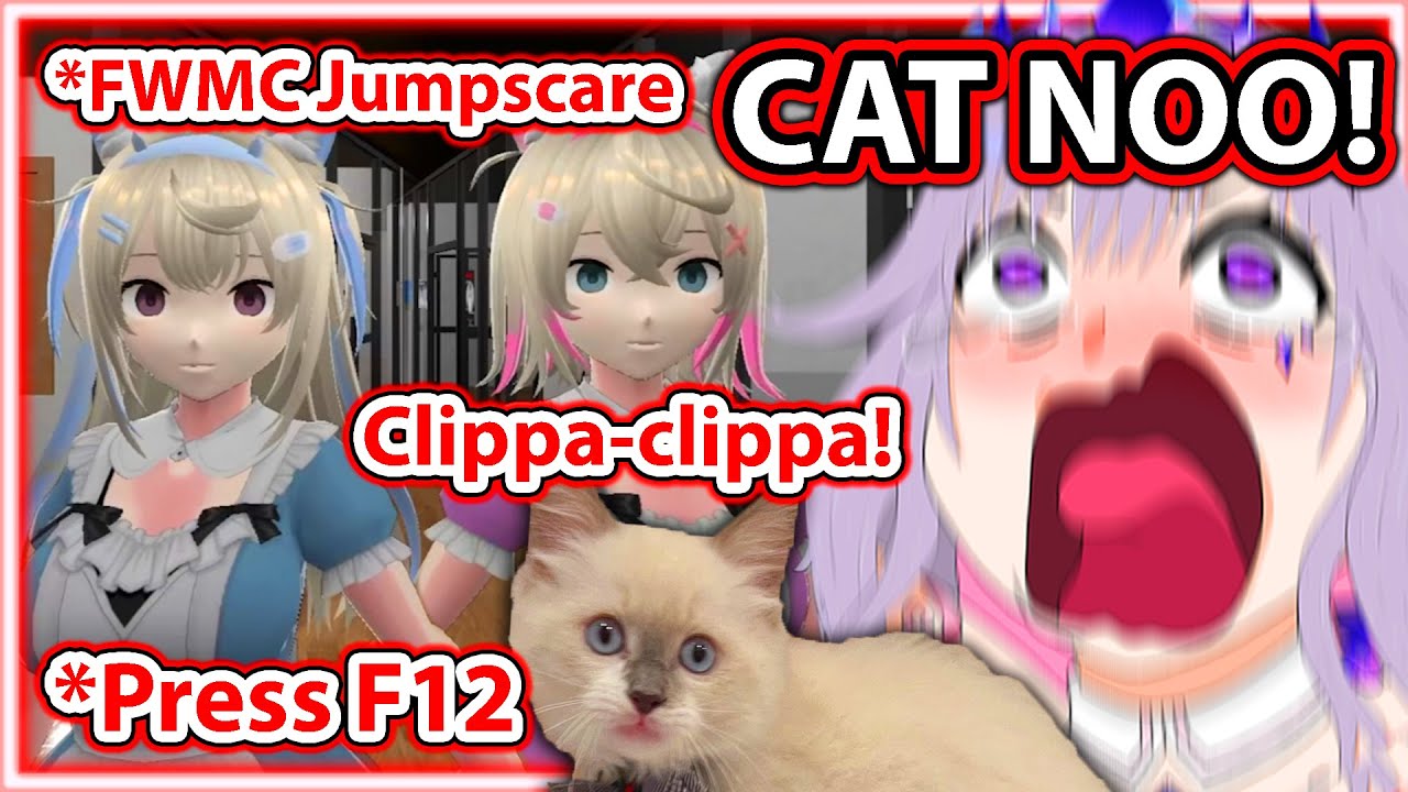 Biboo's IRL Cat Spams Screenshots After Biboo Got Jumpscared by ...