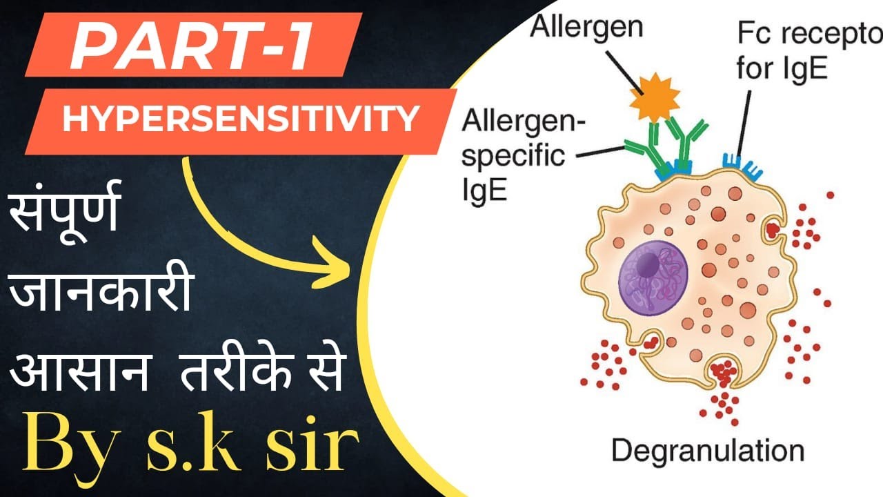 Hypersensitivity Part1 / Type-1 Hypersensitivity Reaction / Immediate ...