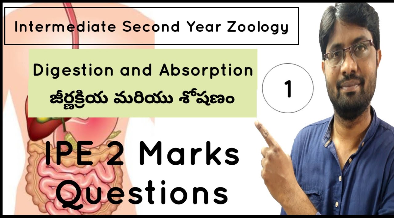 Inter Second Year Zoology || Digestion and Absorption 2 Marks Questions Explanation || PART 1 ...