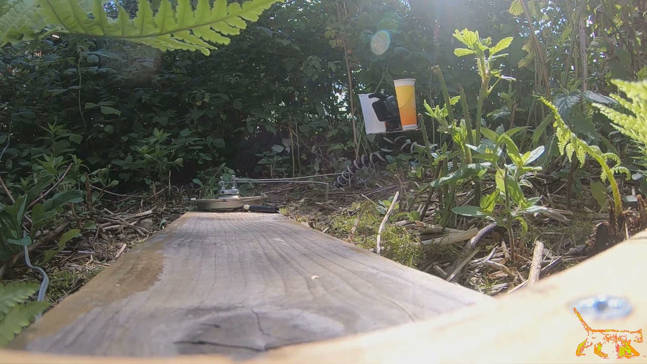 Wasp Killing Machine - Double Trouble Merry go Round 01 - YouTube