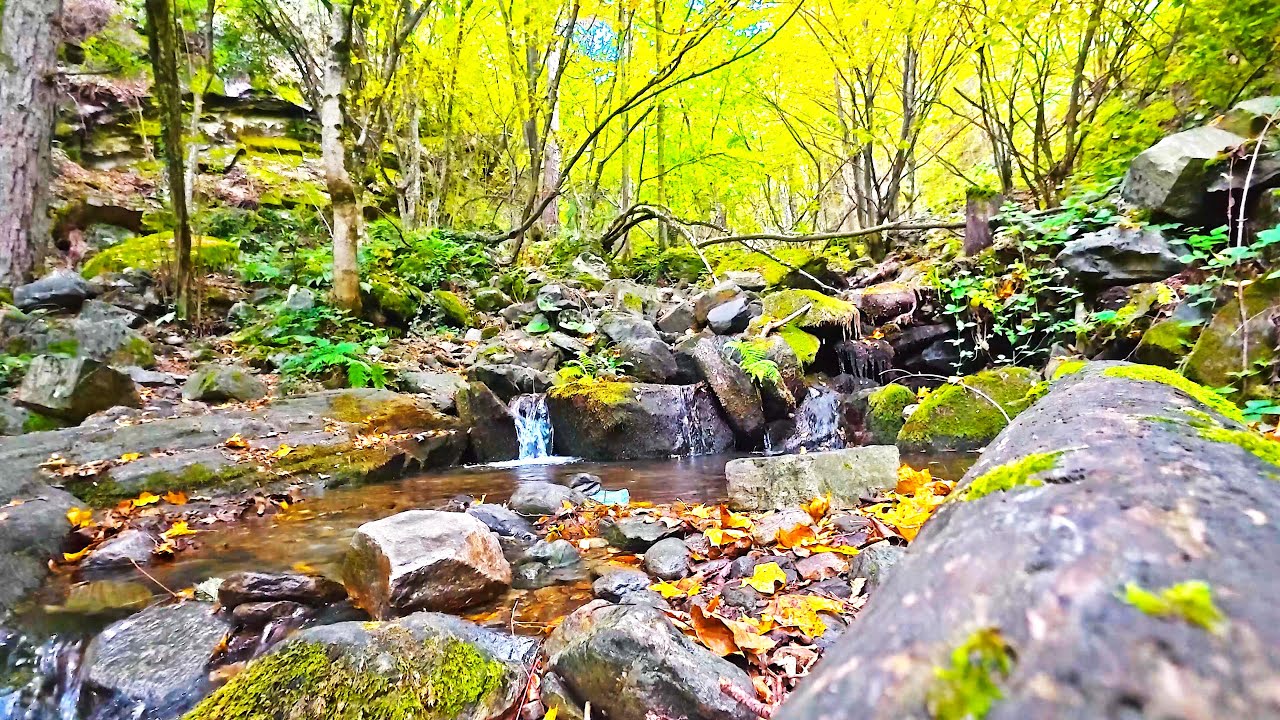 RELAXING SOUND OF FLOWING STREAM WATER, BEAUTIFUL VIEW - YouTube