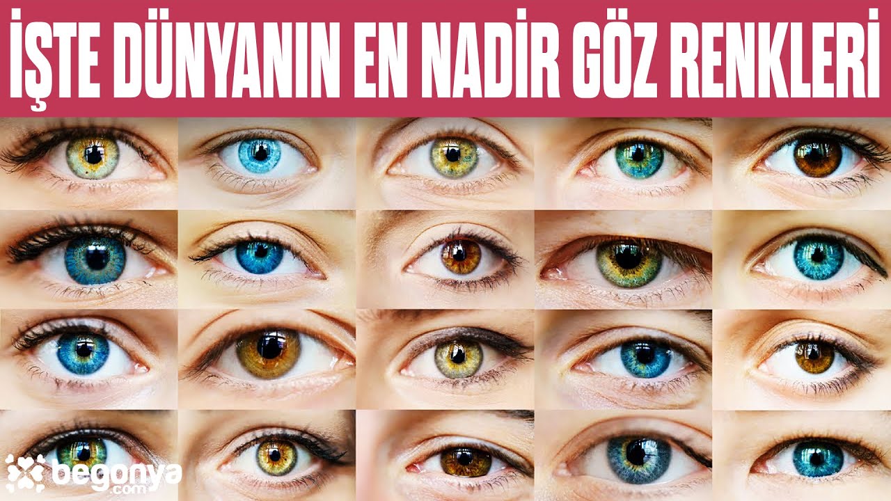 Dünyadaki Göz Rengi Oranları - YouTube