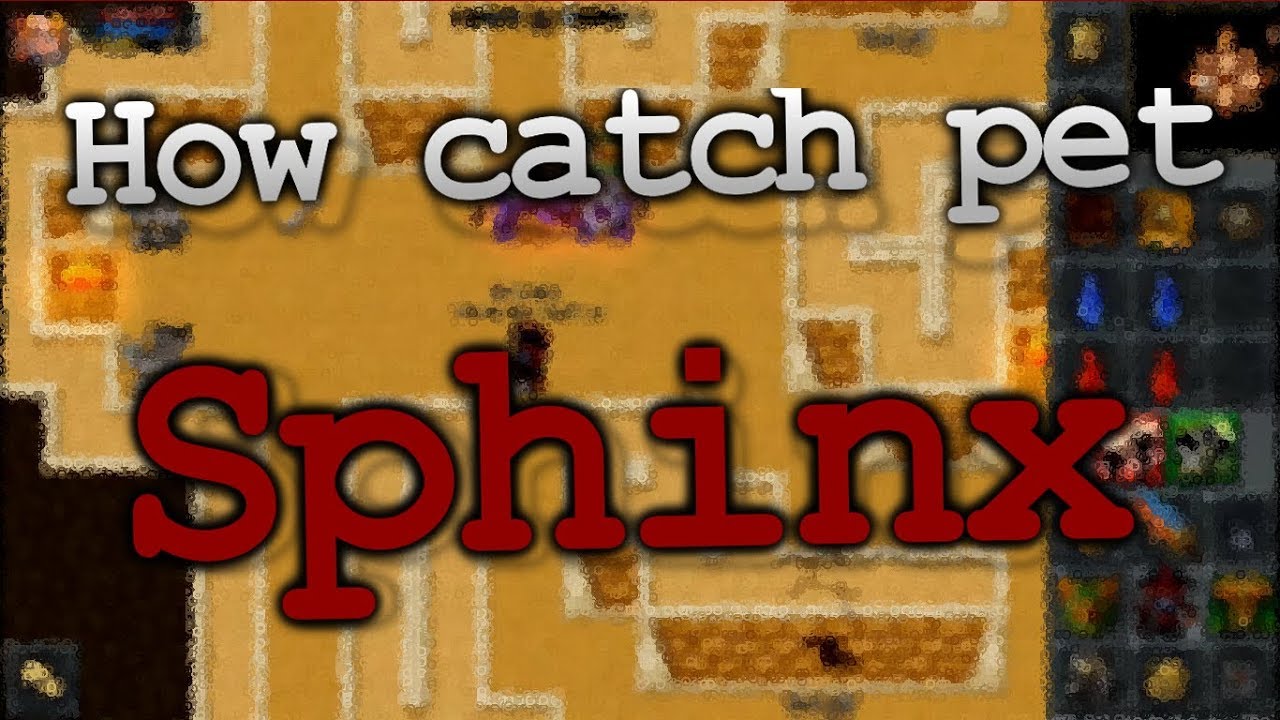 TibiaMe | How catch pet sphinx | Zimboyz w1 - YouTube