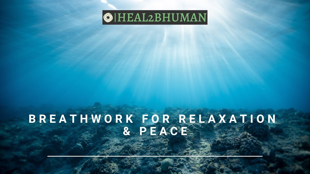 Breathwork For Relaxation And Peace- 17 Minute Meditation - YouTube