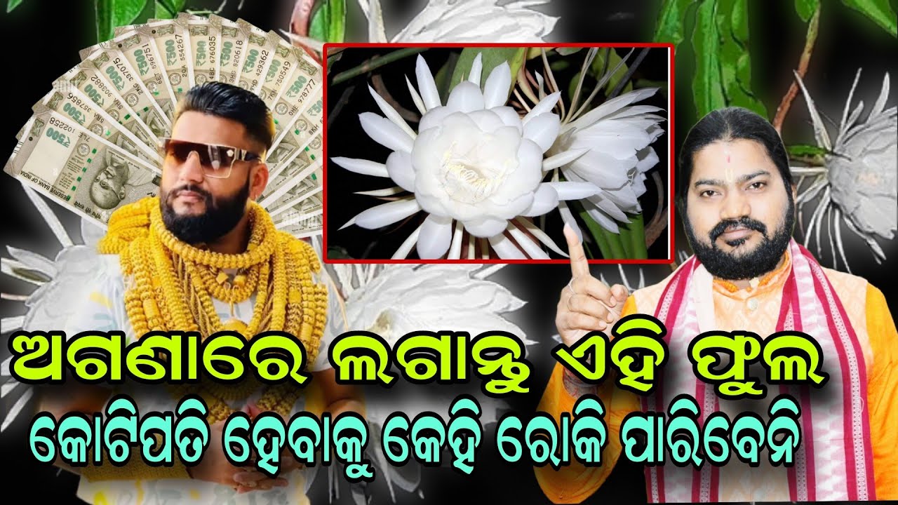 AGANARE LAGANTU AHI FULA KOTI PATI HEBAKU KEHI ROKI PARIBENI ...