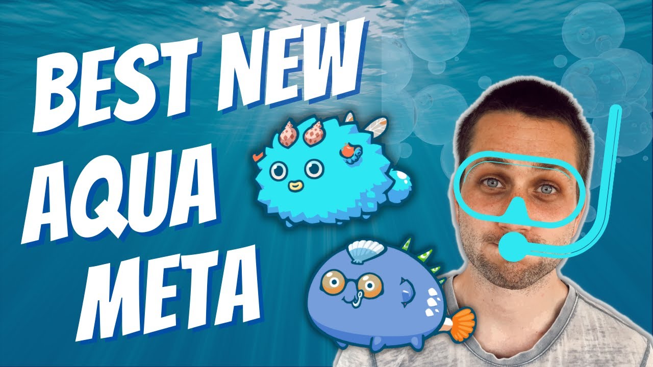 BEST NEW DOUBLE AQUA BUILD!! | AXIE INFINITY - YouTube
