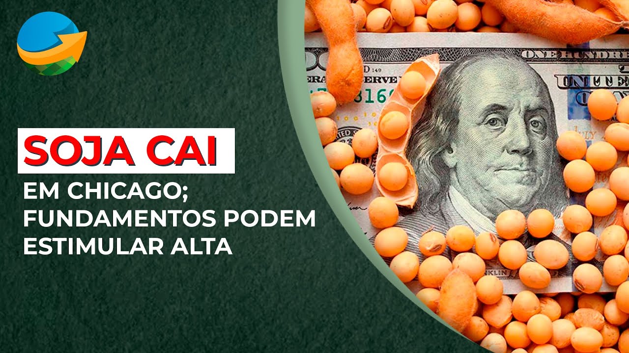 Soja cai em Chicago; fundamentos podem estimular altas - YouTube