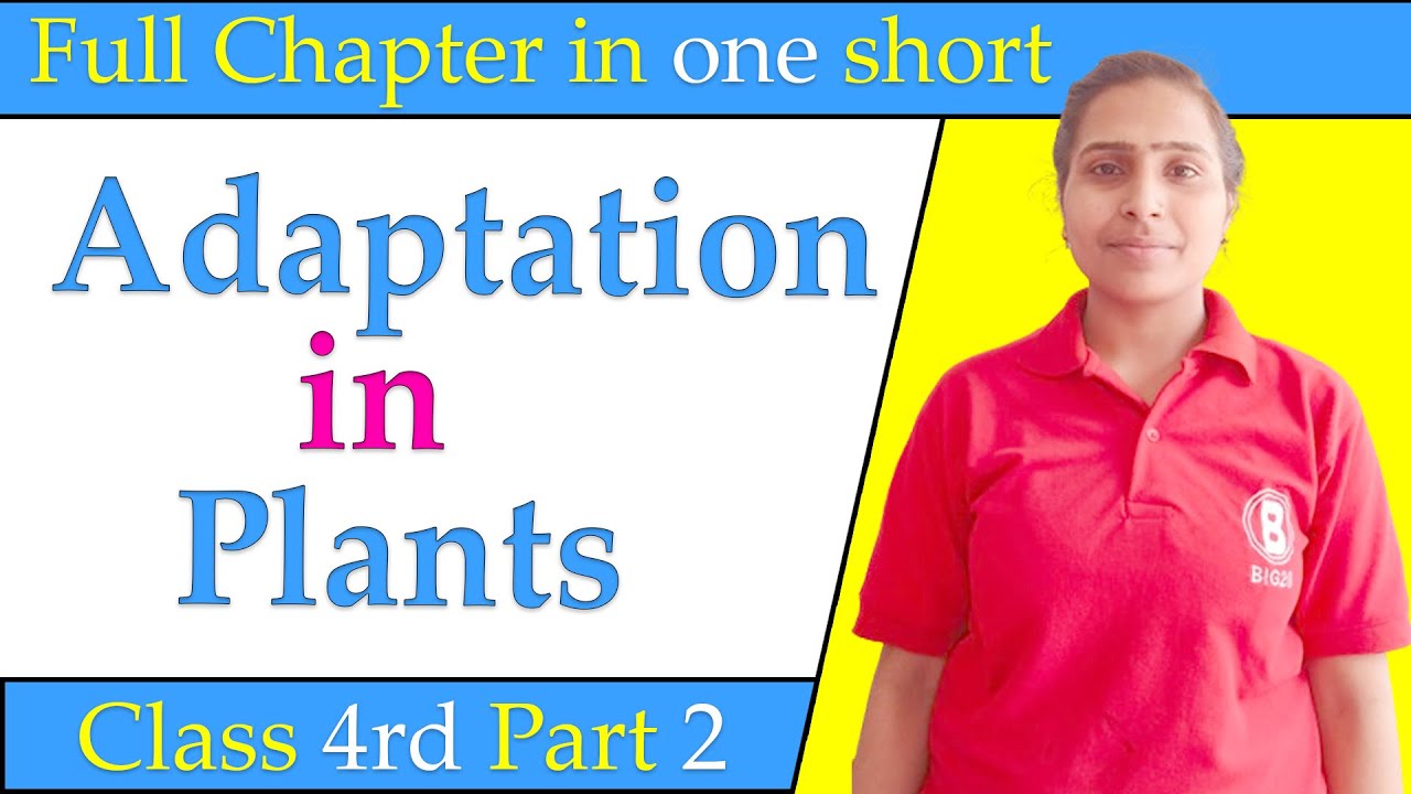 Adaptation in Plants | Class 4 Part 2 | BIG20 - YouTube