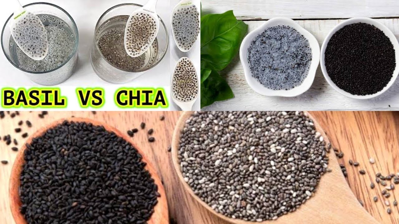 What is the difference between Basil seeds and Chia seeds | Health ...