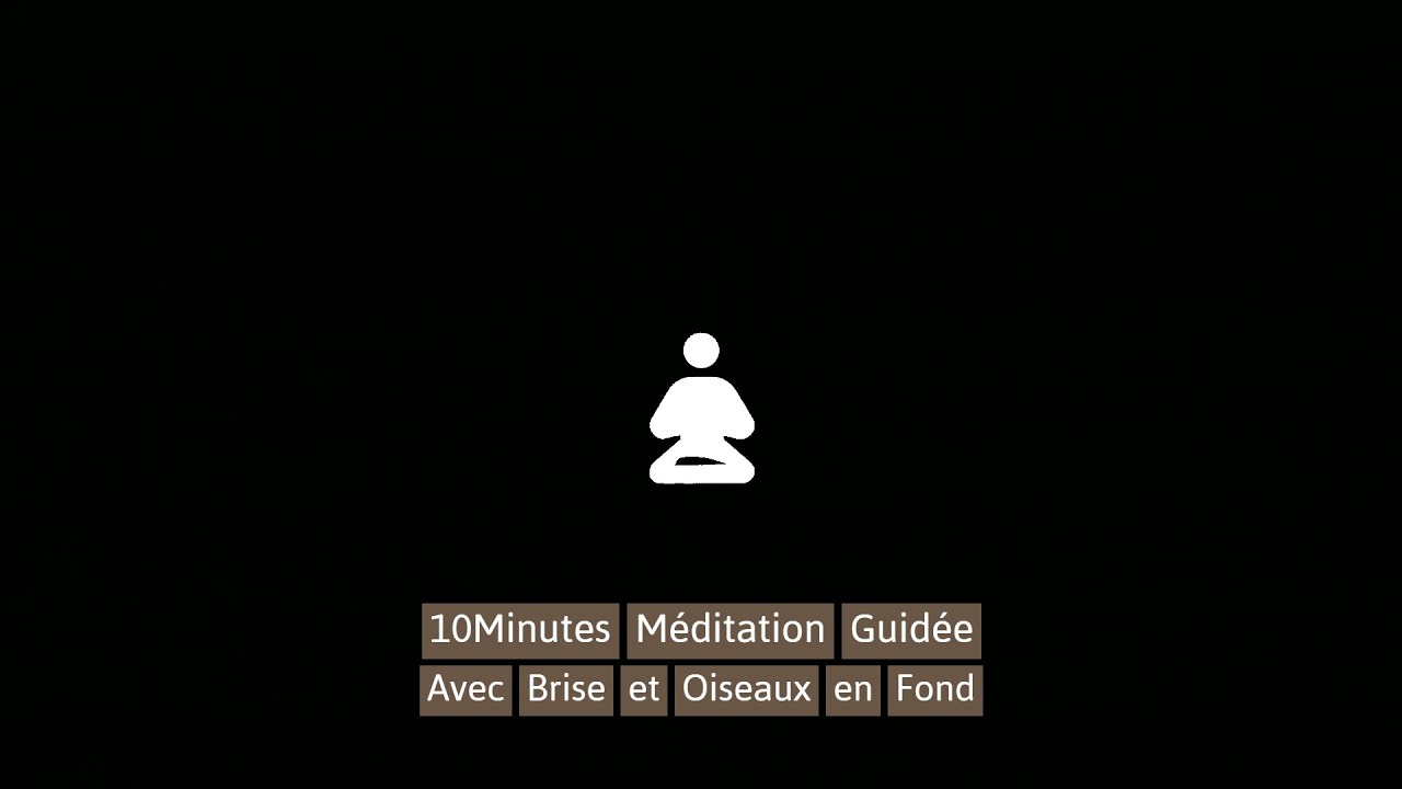 Ecrannoir Courte Pause De Mindfulness Méditation Guidée De 10 Minutes