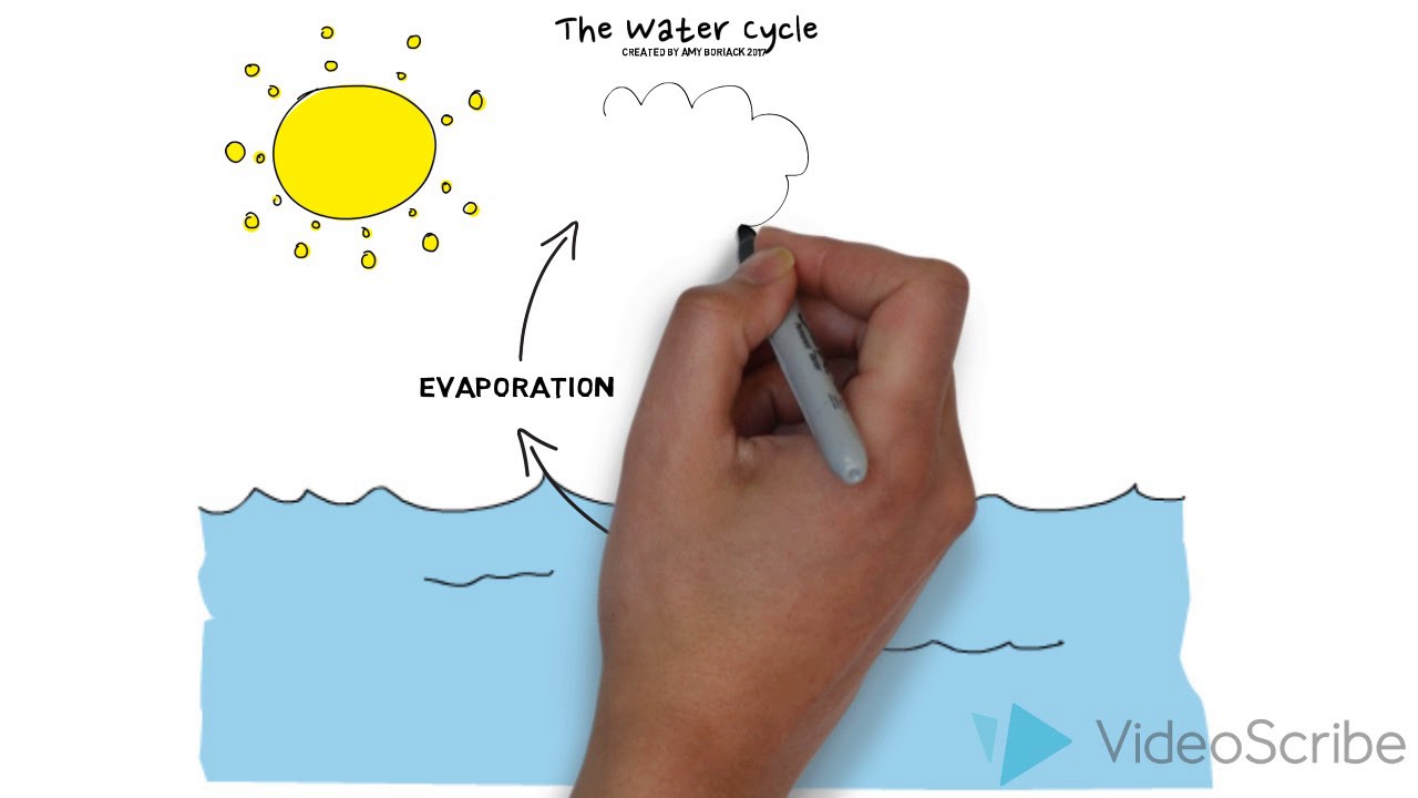 The Water Cycle -animated explainer video - YouTube
