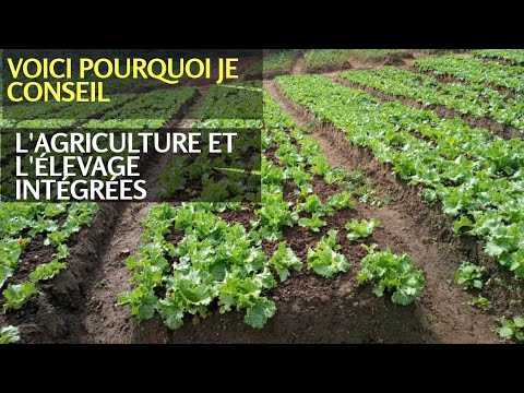 POURQUOI ET COMMENT FAIRE UNE FERME INTÉGRÉE + FORMATION - YouTube