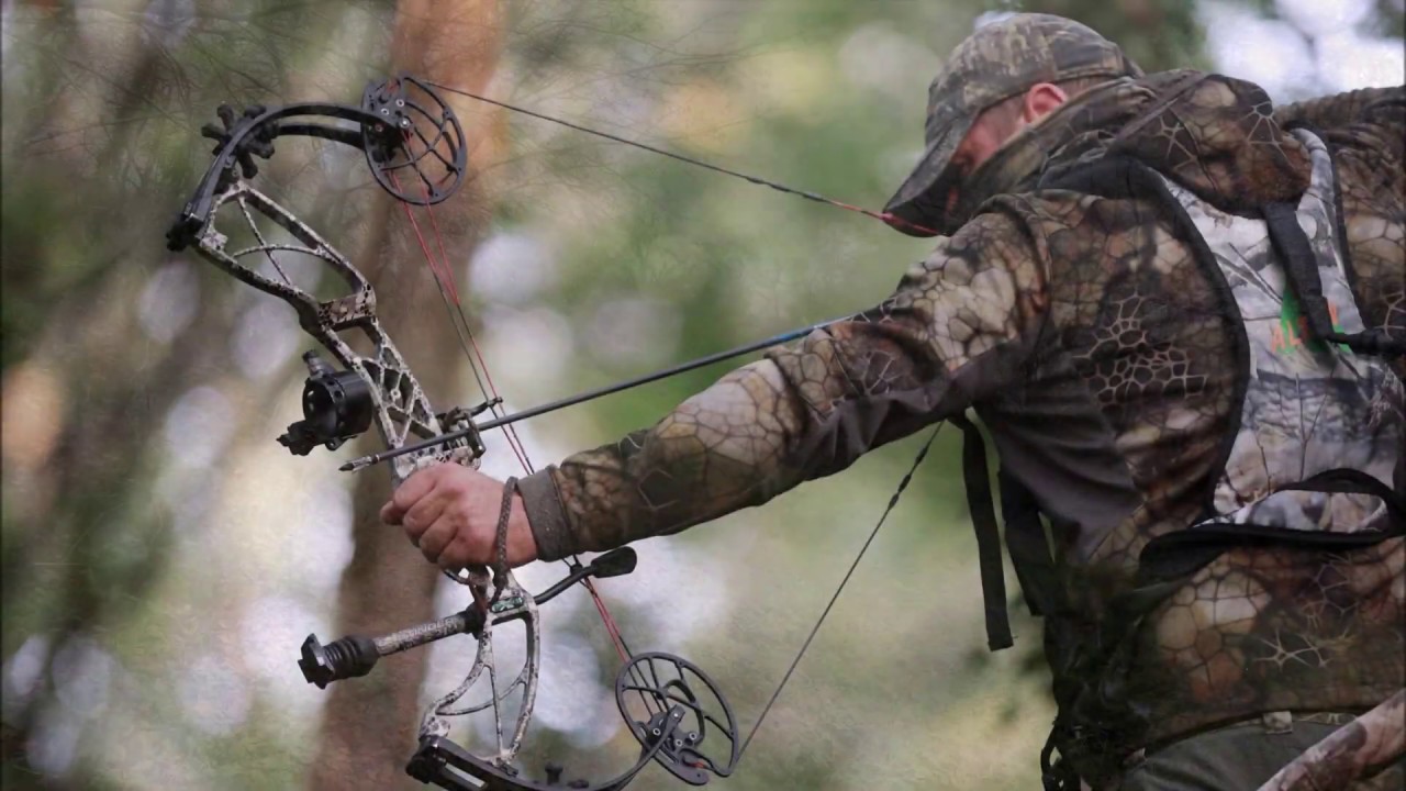 Driven Hunt With Bows In France (chasse à l'arc), with Steve Tournier ...