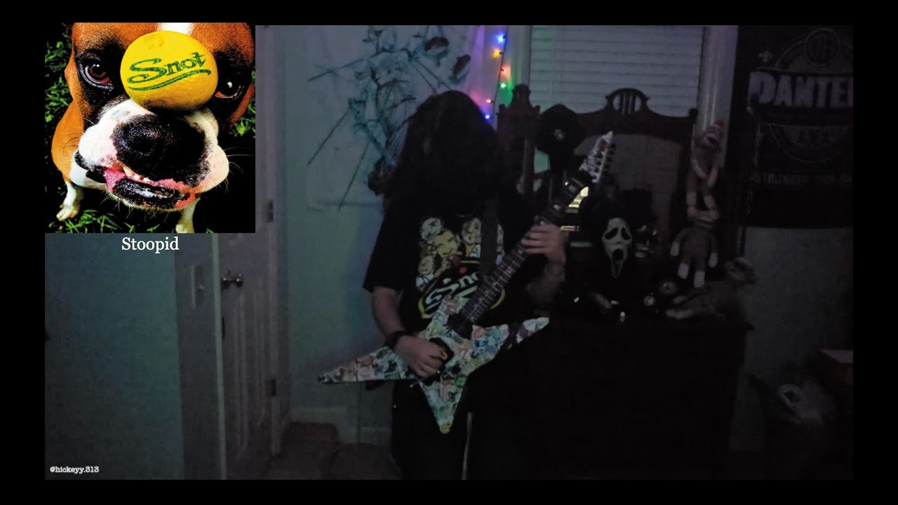 Stoopid - Snot (guitar cover) - YouTube