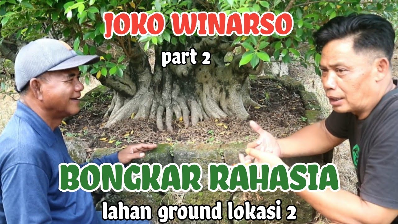 kupas tuntas cara & tehnik ground Bpk joko winarso (part 2) #budidaya # ...