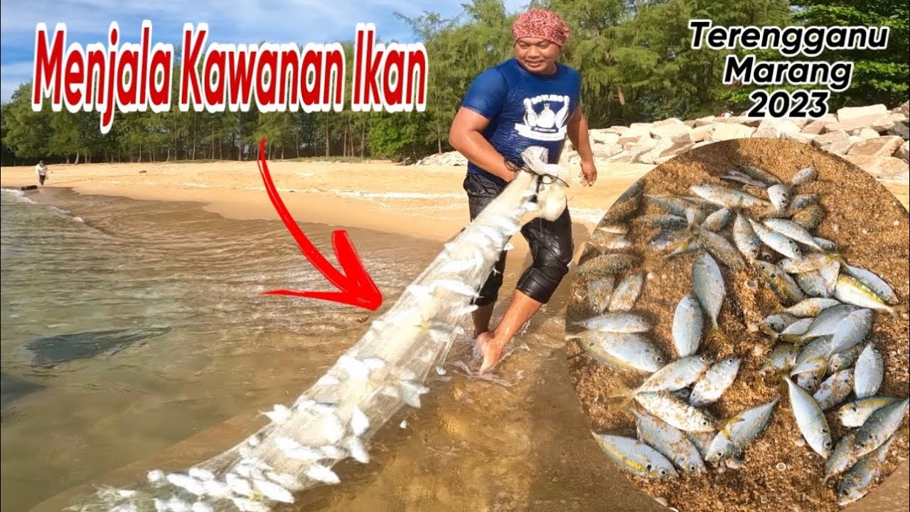 🇲🇾CABARAN MENJALA IKAN KETIKA AIR JERNIH-PART-2 | Traditional Cast Net ...