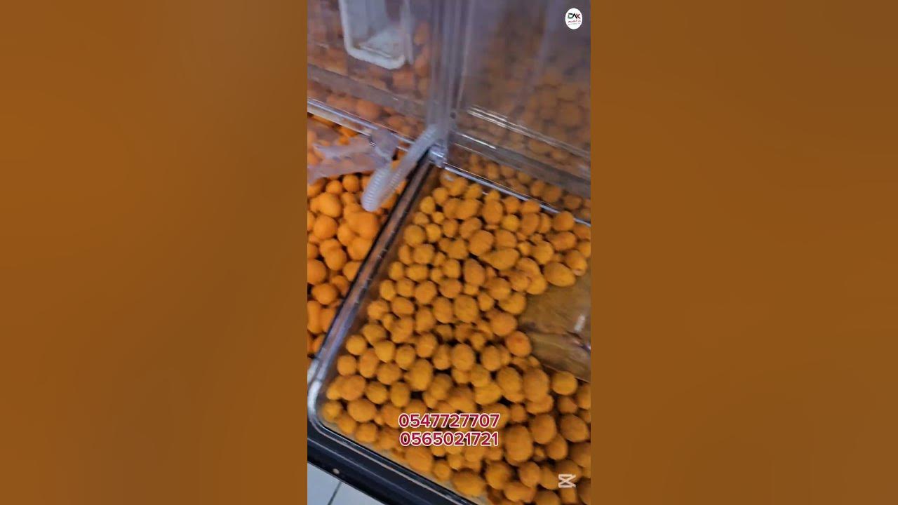 اطيب محمصة بس بتلاقوها عنا بدار الكرم 🏡للحجز والاستفسار 0547727707 📱 0565021721 Youtube