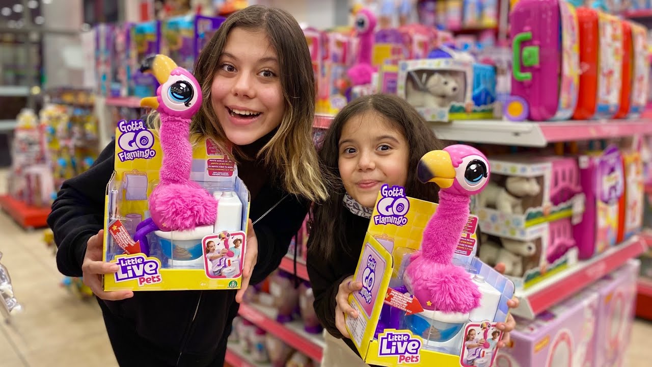 Toyyz Shop Alışveriş Dünyasında Oyuncak çıda Kaybolduk ?! - YouTube