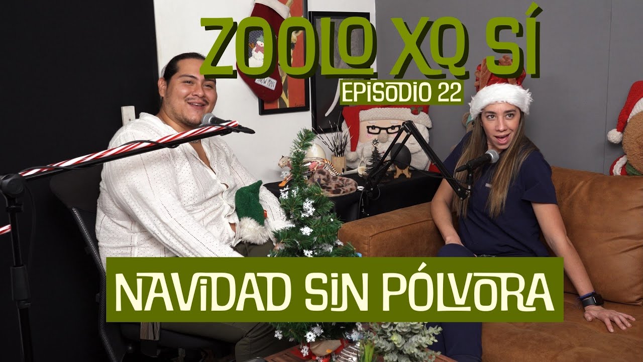 NAVIDAD sin PÓLVORA | Zoolo XQ Sí | Episodio #22 - YouTube