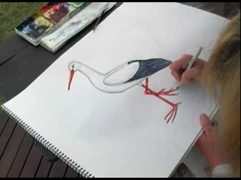 How to draw a Stork - YouTube