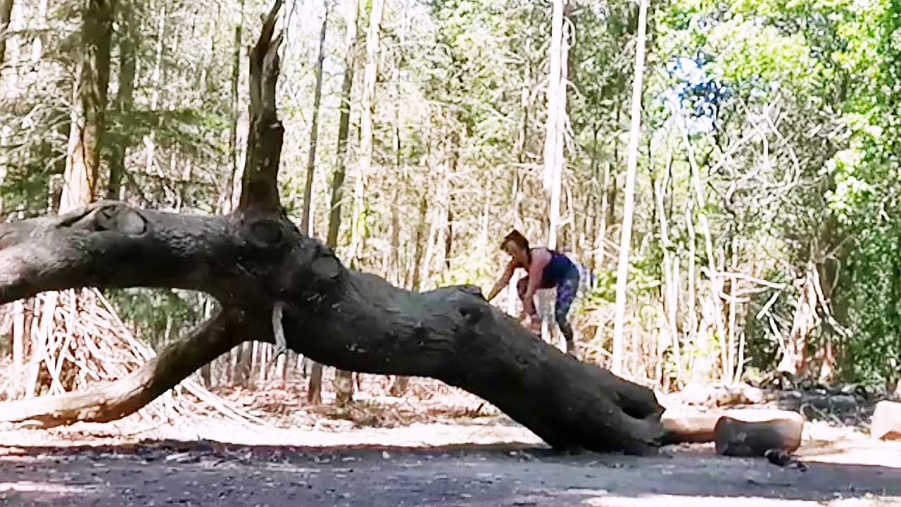 Primal Adventure - New Forest EP1 - YouTube