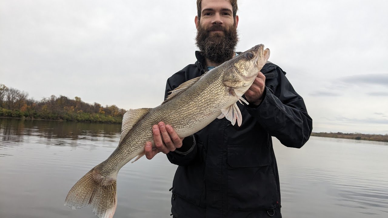 He Caught His Biggest Walleye Ever - YouTube