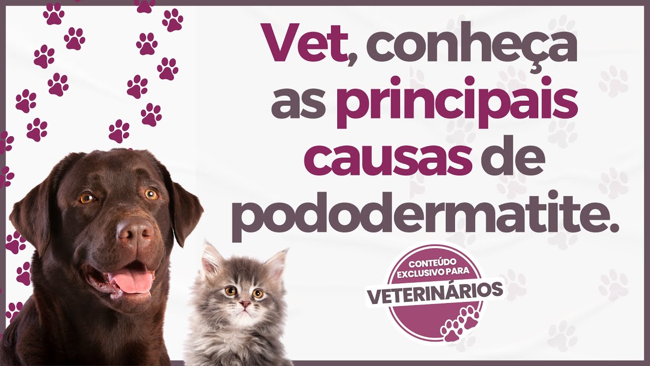 Vet, conheça as principais causas de pododermatite. - YouTube