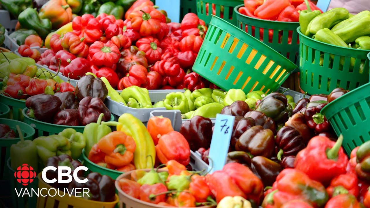 How farmers markets support B.C.'s economy - YouTube