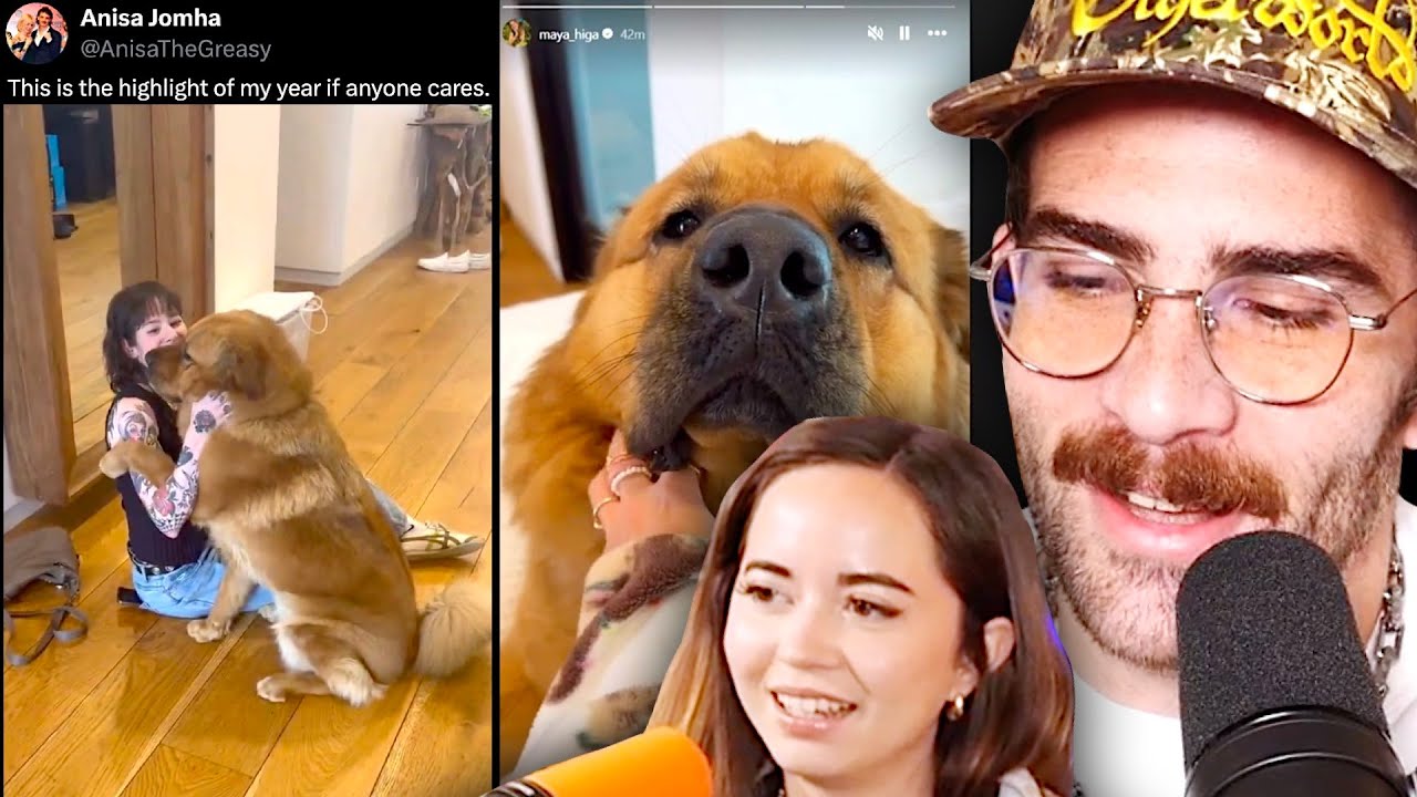 Hasan's Dog Kaya Gets Spoiled By Guests | HasanAbi Reacts (Ft. Maya ...