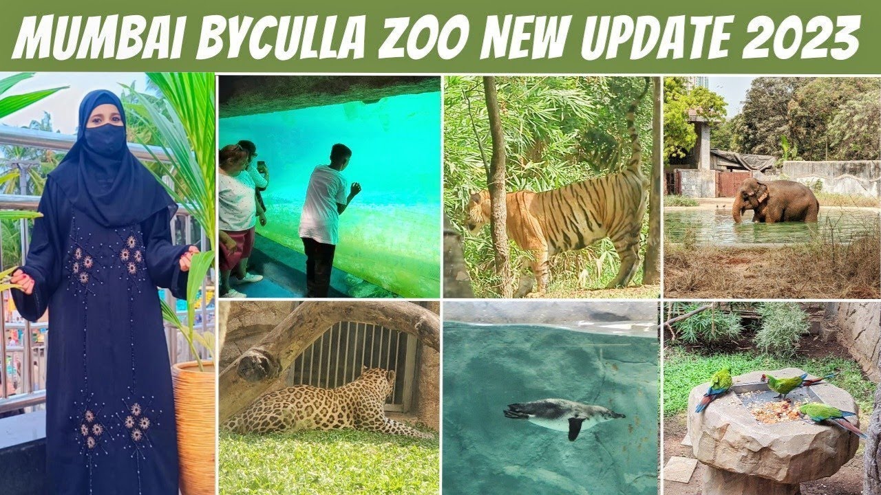 Byculla Zoo Mumbai | Complete Guide of Rani Baug | Rani Baug 2023 ...