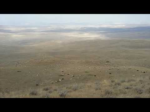 Şamaxılı çobanlar👍