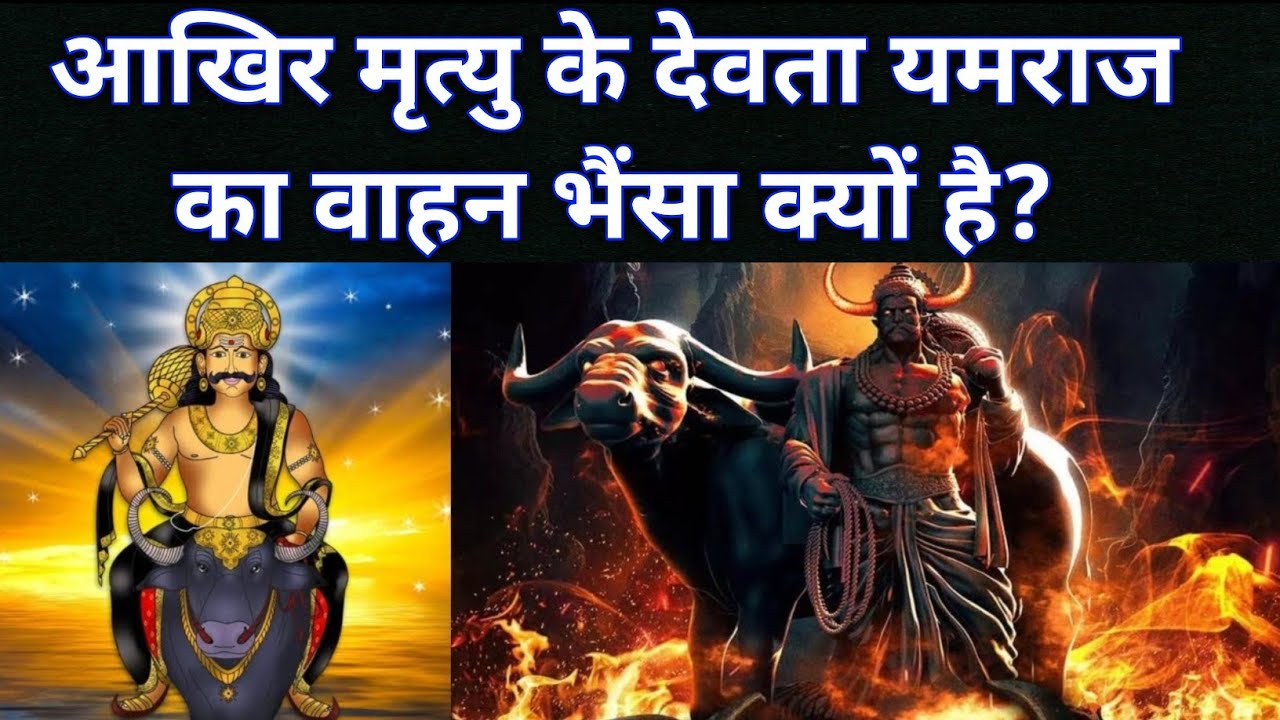 आखिर मृत्यु के देवता यमराज का वाहन भैंसा क्यों है | Mrityu Ke Devta ...