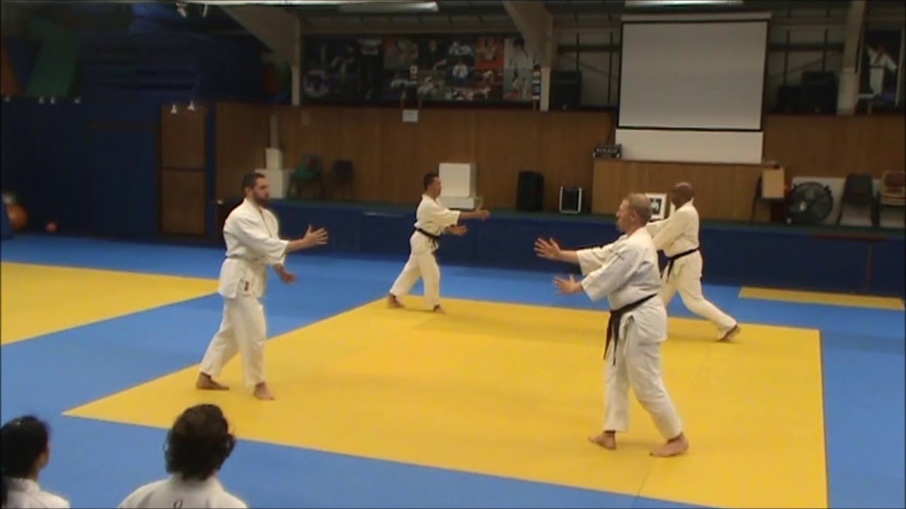 2017 Gozo Shioda Memorial Seminar UK - Goryukai Demonstration - YouTube