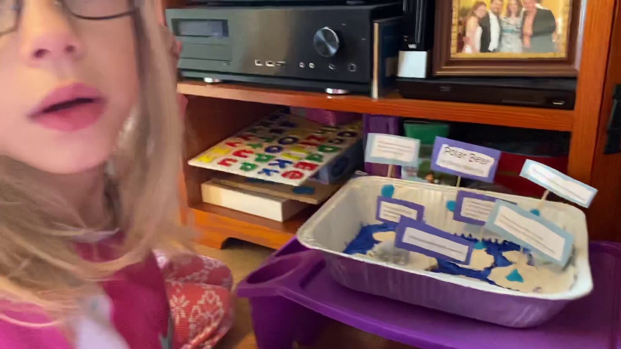 Polar Bear research project - YouTube