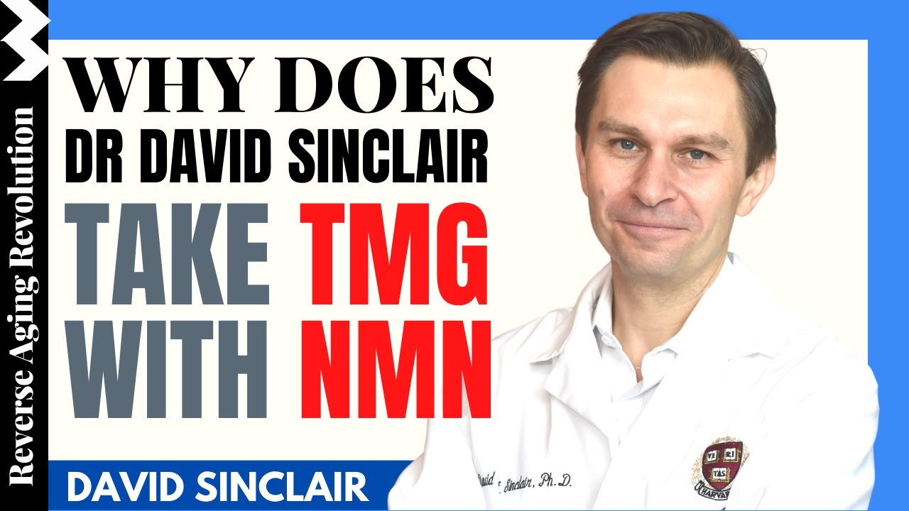 Why Dr David Sinclair Takes TMG With NMN | Dr David Sinclair Interview Clips - YouTube