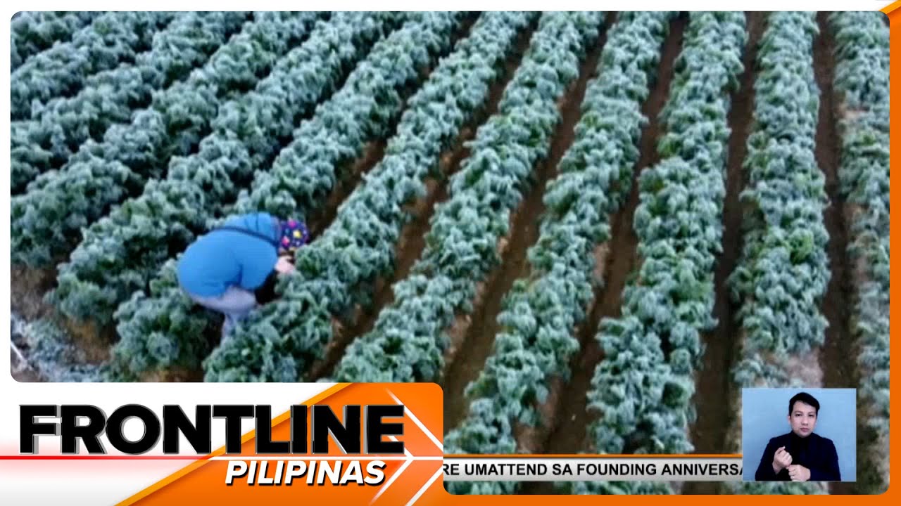 Ilang lugar sa Benguet, nakaranas ng andap o frost | Frontline ...