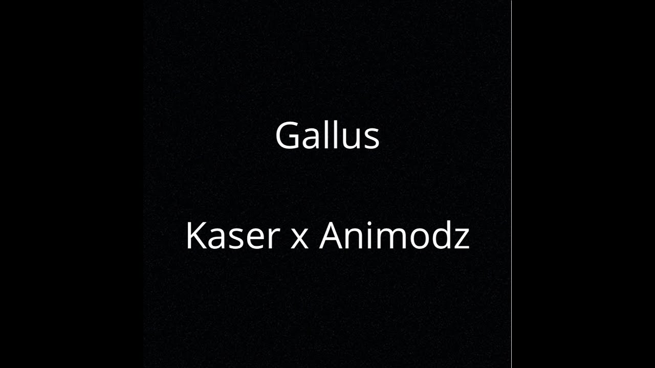 Gallus - Kaser X Animodz - Review by Jack Reviewer - YouTube