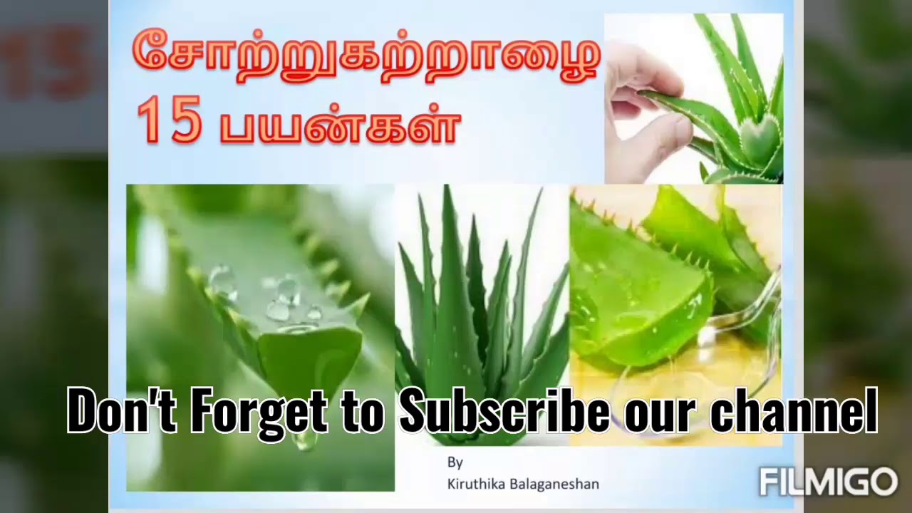 Katralai payankal / Sotru Katralai 15 payankal - YouTube