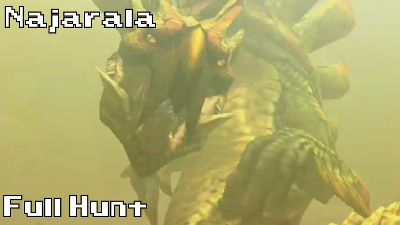 Hunting a Najarala | Full Hunt | Monster Hunter 4 Ultimate - YouTube
