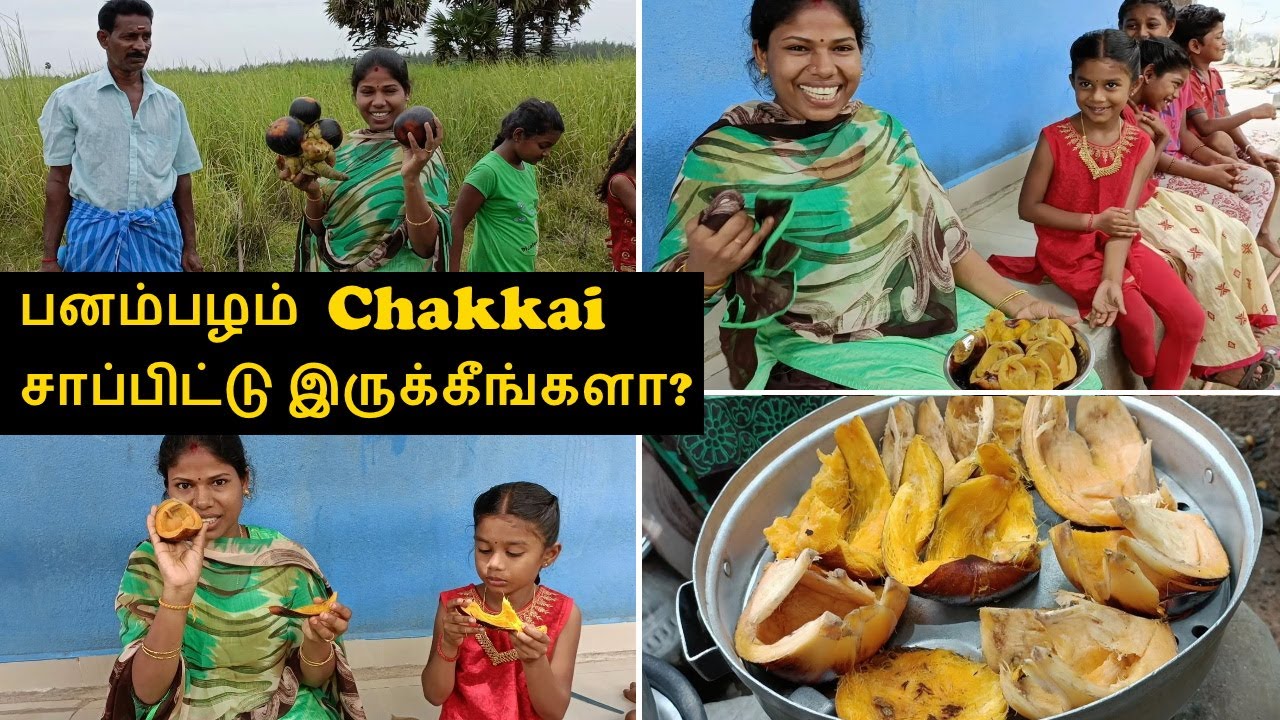 பனம்பழம் Chakkai சாப்பிடலாம் வாங்க | Panam Pazham Chakkai | Village ...