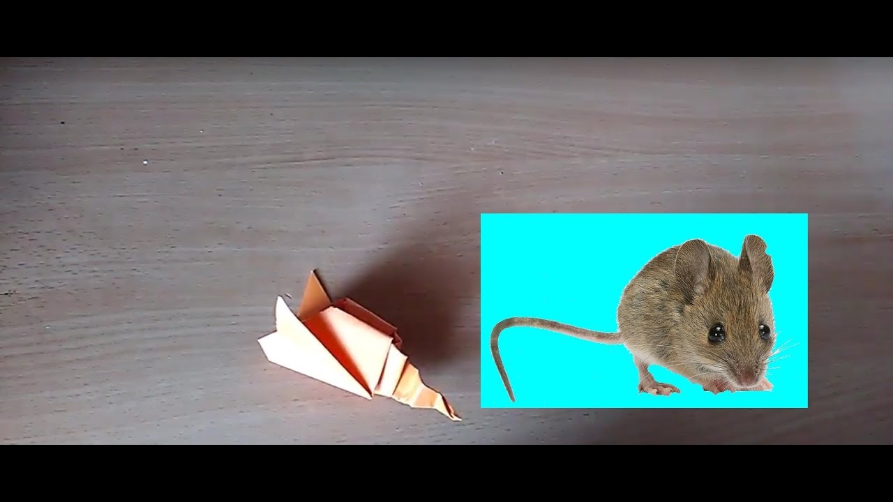 Faire une souris en papier (tuto) - YouTube