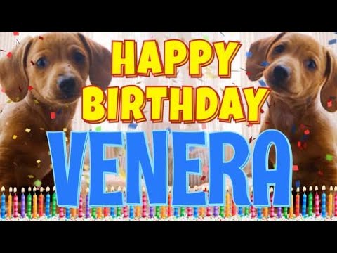 Happy Birthday Venera! ( Funny Talking Dogs ) What Is Free On My Birthday